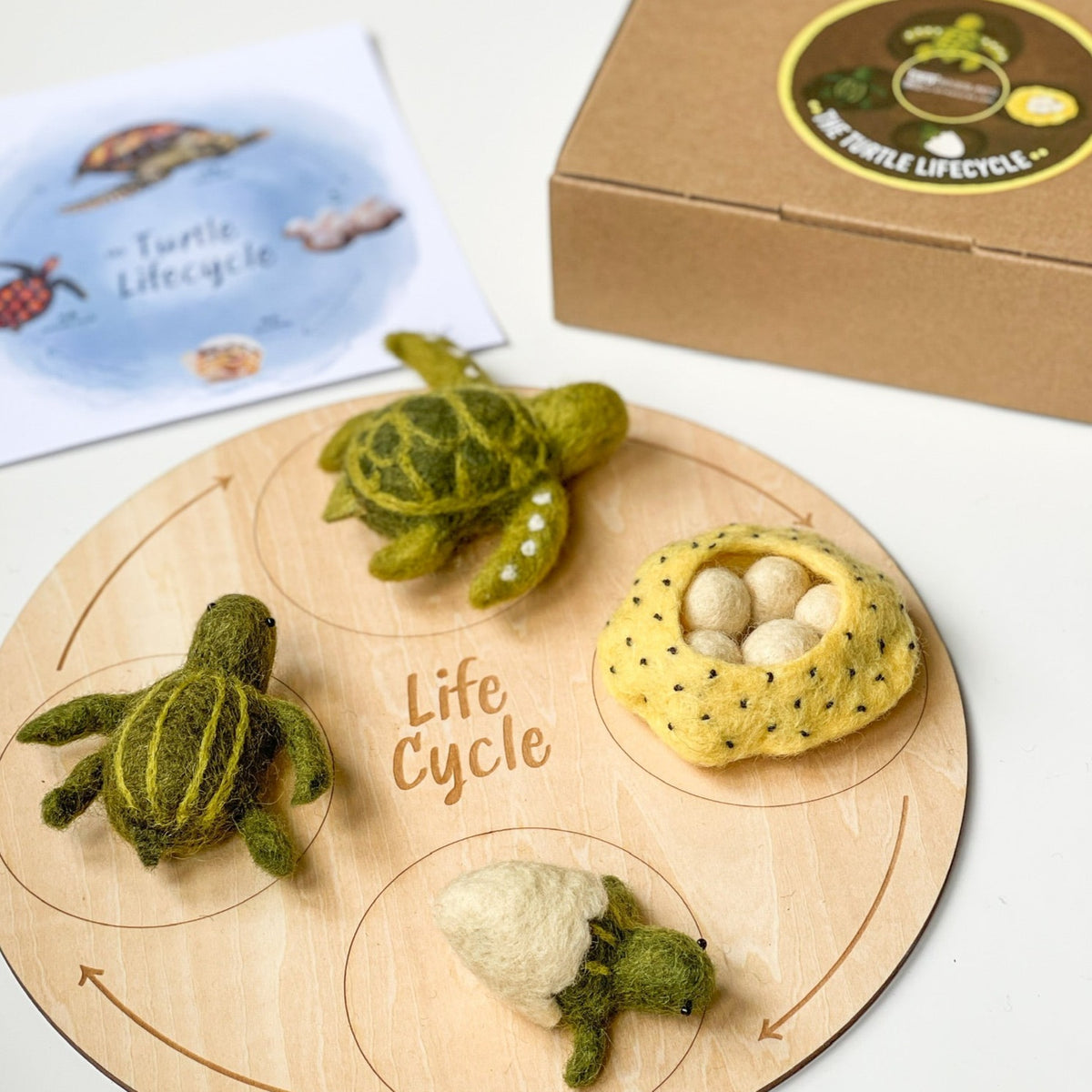 Felt Lifecycle of Green Sea Turtle 海龜生命週期教材 – BookishPlayroom